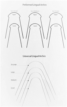 Natural, European and Universal Orthodontic Arch Forms